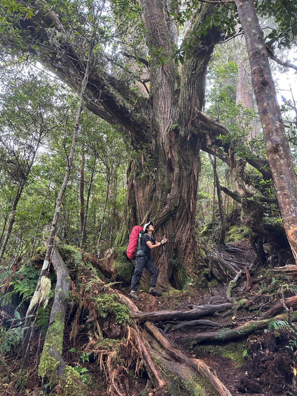 MT. APO 2,954 Msl. : Highest mountain of philippines – COMEON : มาเที่ยวกัน